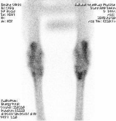 Bone Scanning (Scintigraphy) - Ballarat Veterinary Practice
