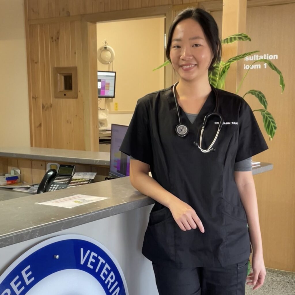 Companion Animal Clinic Staff - Ballarat Veterinary Practice